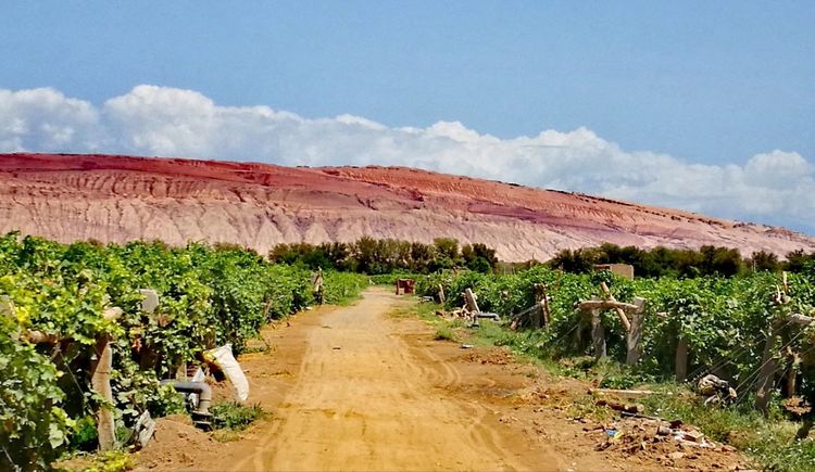 Journey to Yaji - Rites of the Western Regions: Flame Mountain - iNEWS