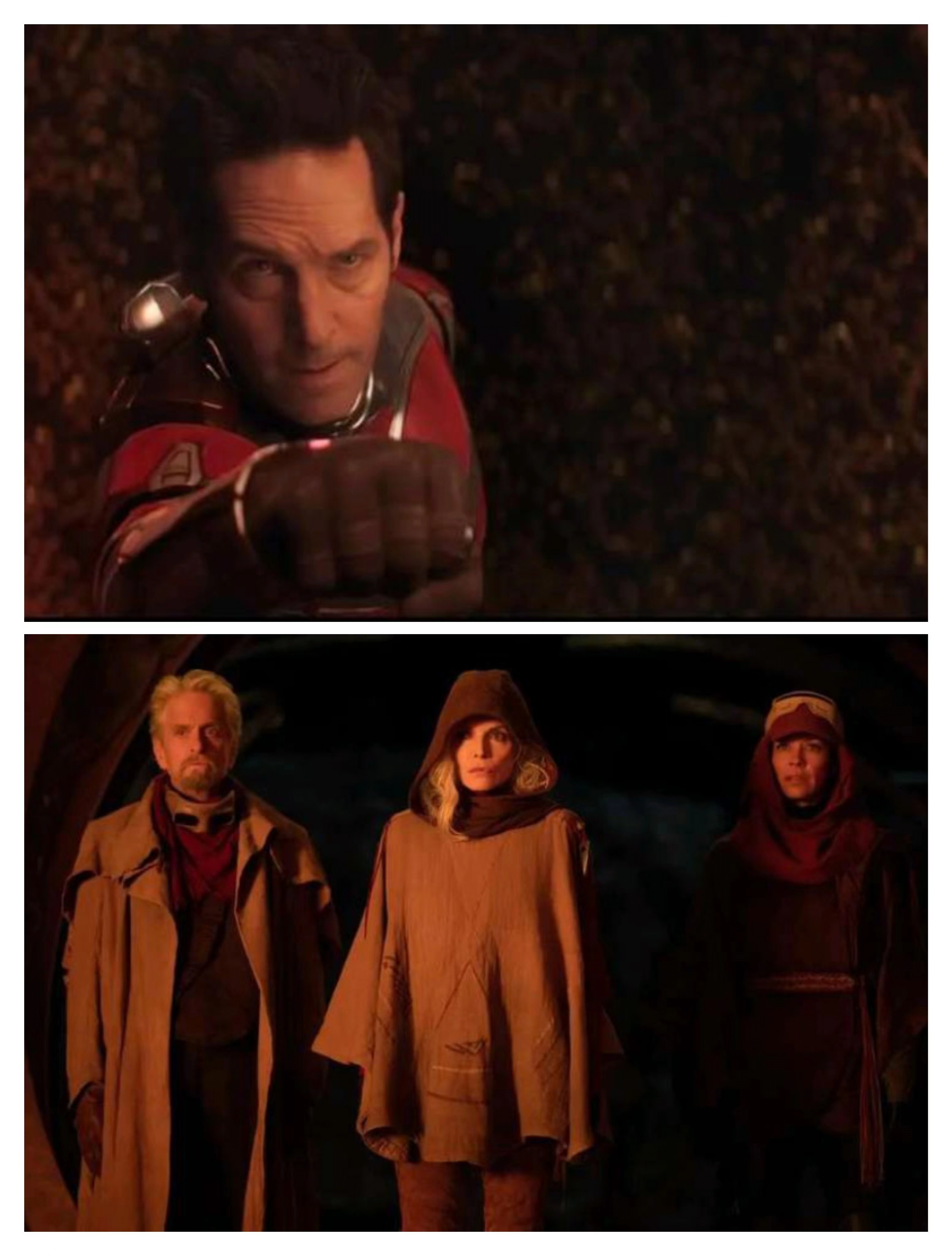 The love story between a single mother and a little wolf dog, Ant-Man ...