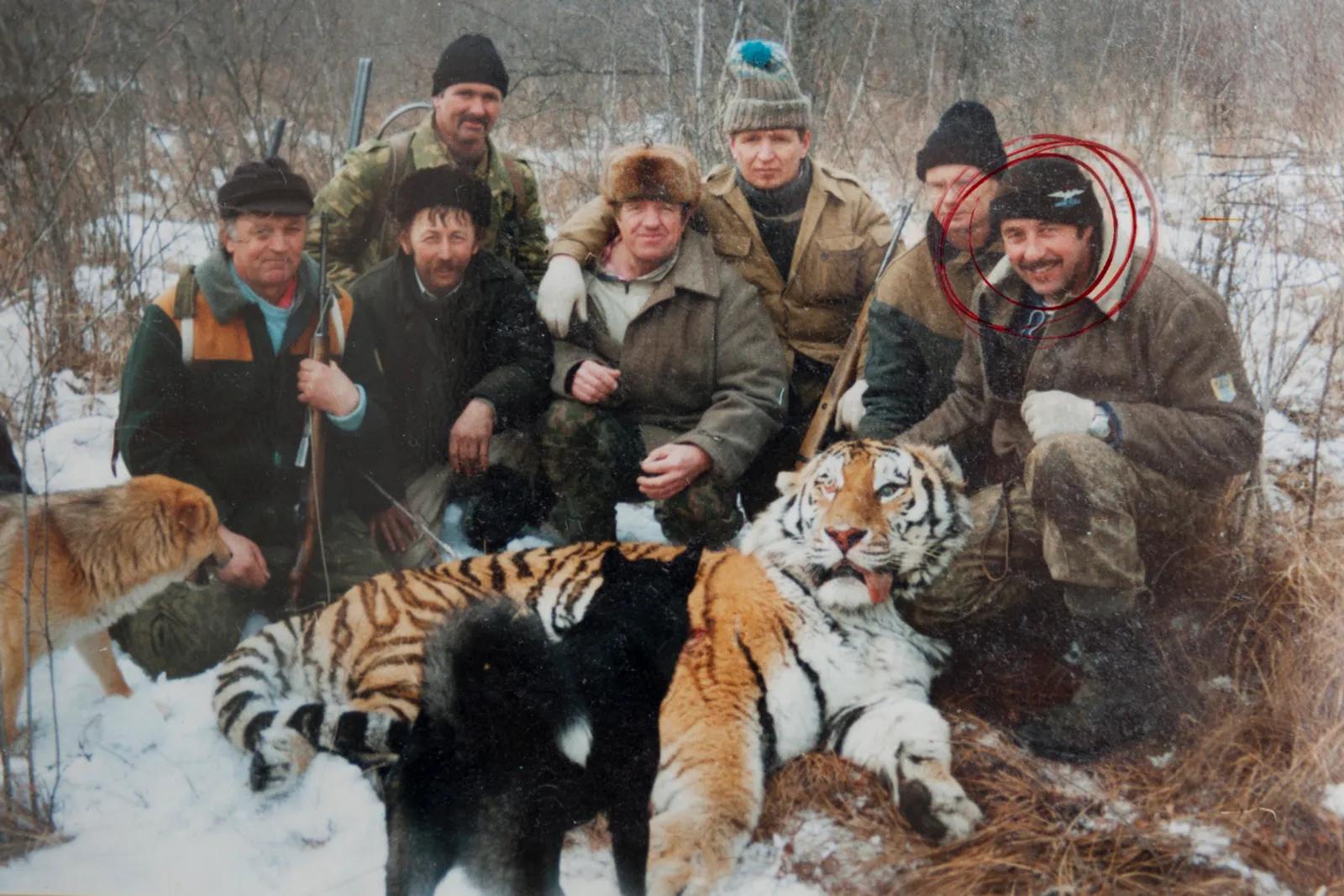 True story: This Siberian tiger took revenge on its hunter and ...