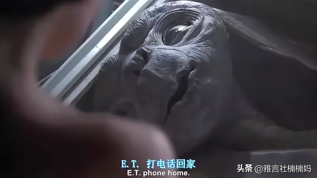 "Amazing accident" makes "ET Alien" live again! - iMedia