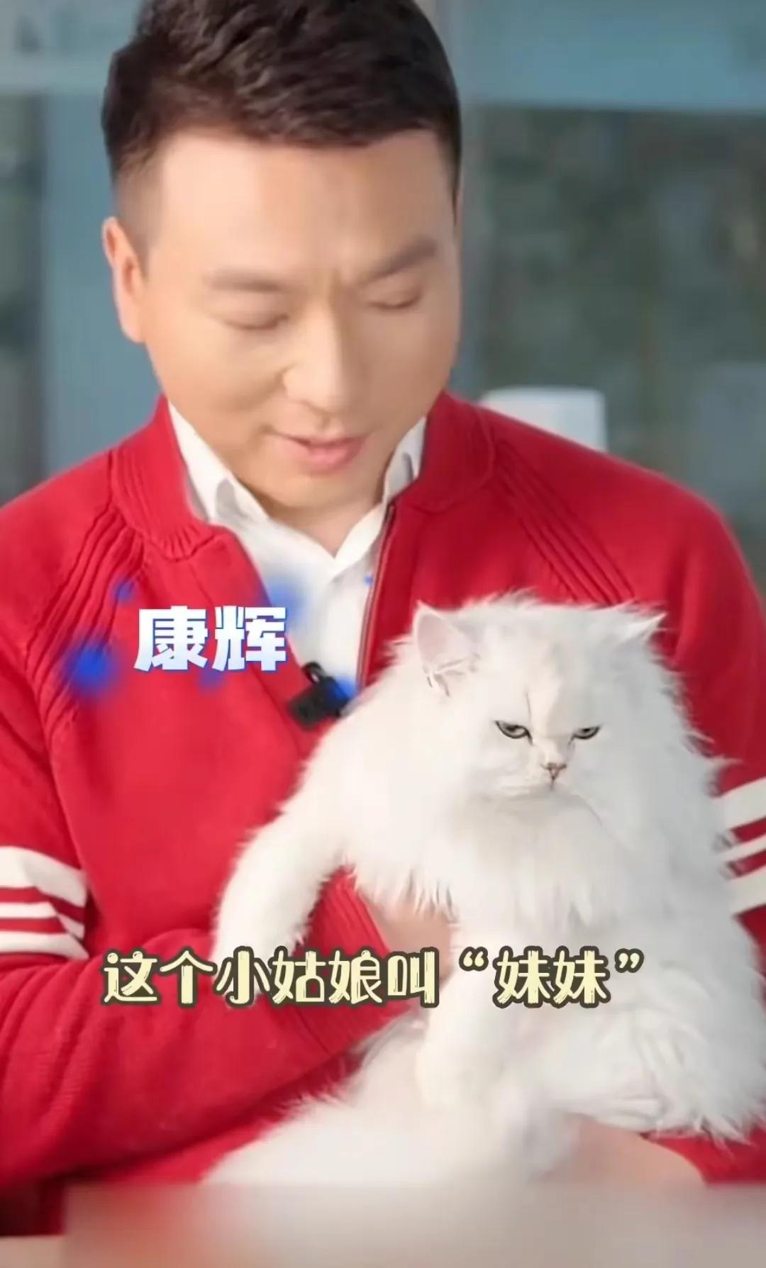 CCTV host Kang Hui suspected of cyber violence! Raising cats without ...