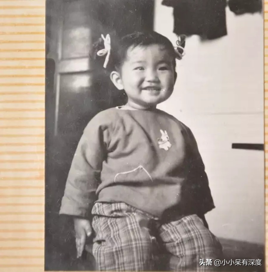 The beauty Lu Chen, from CCTV to Phoenix TV, has both family and career ...