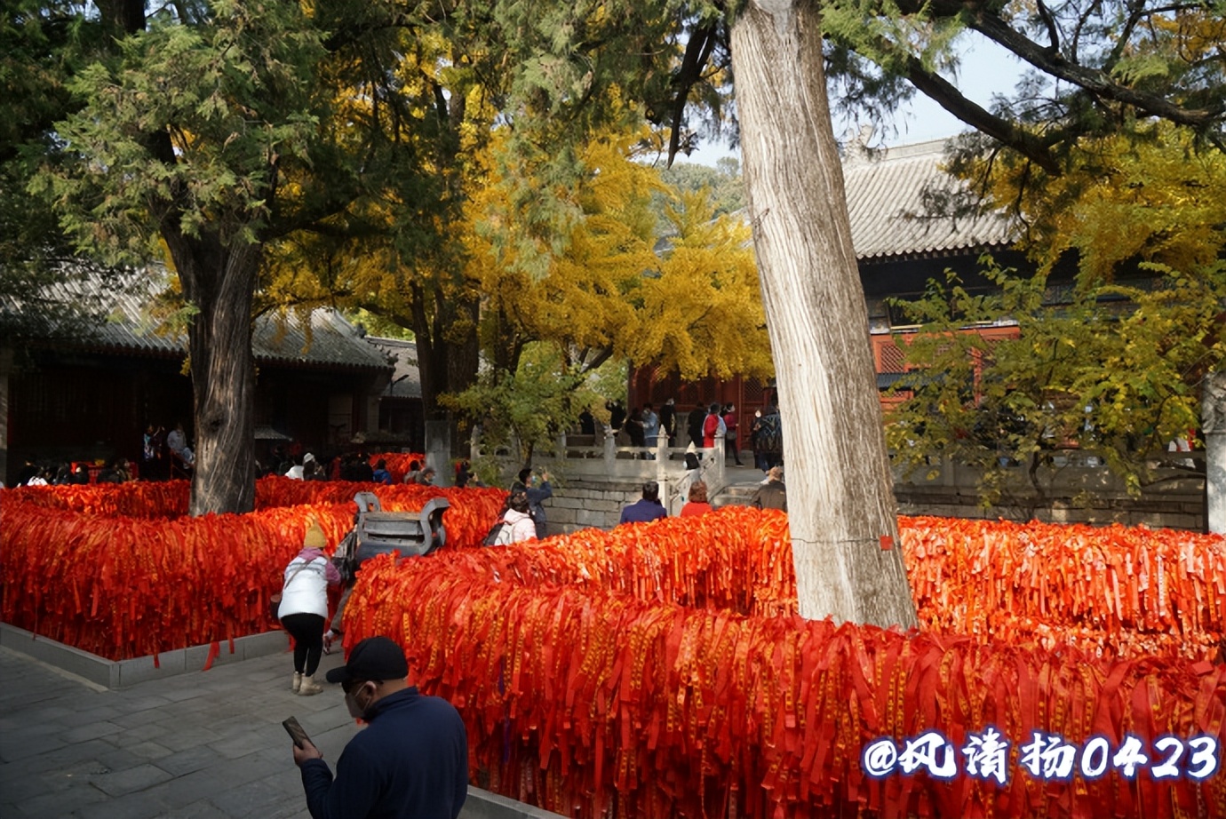 Buddha Enlightenment in Hongluo Temple (22-295) - iNEWS