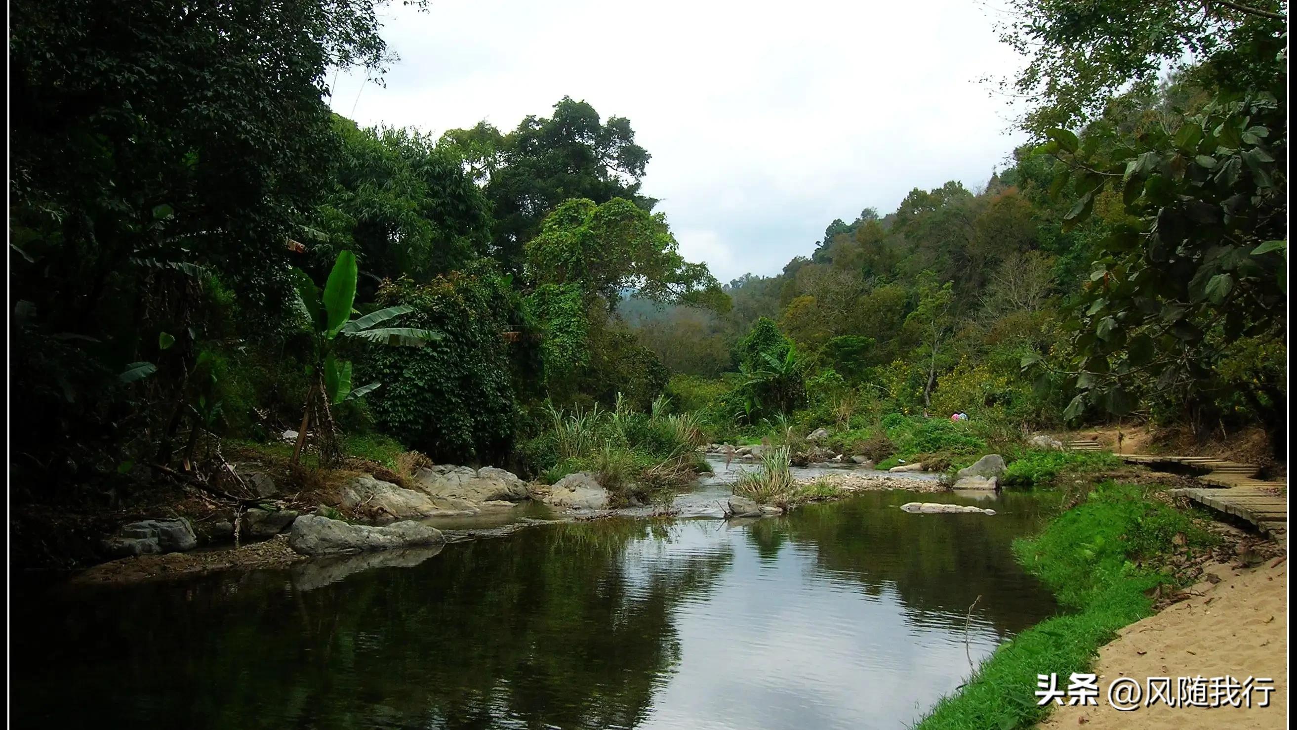 [Xiling Evening Chat] (9): Fishing, fishing and catching fish - iMedia