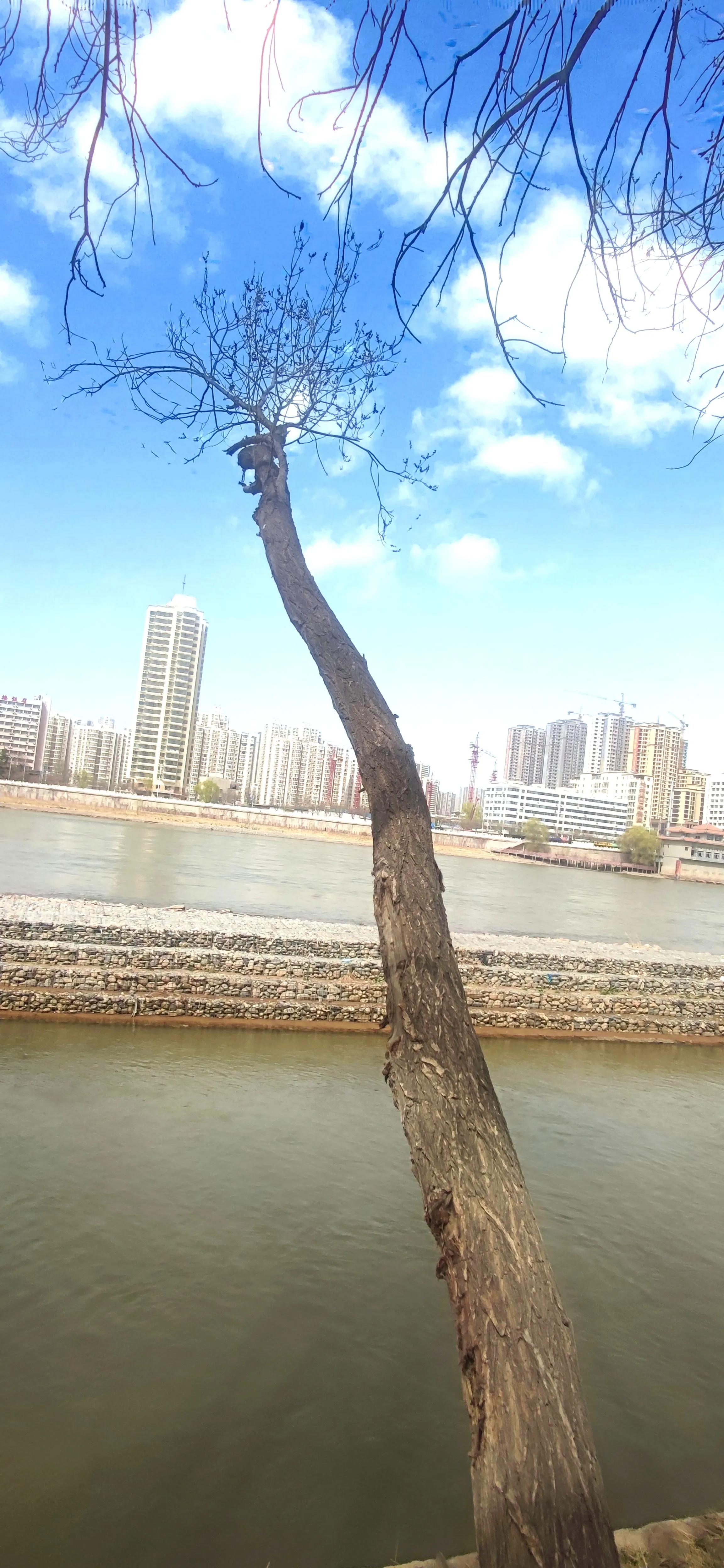 The most daring and well-structured famous sentences, every sentence ...