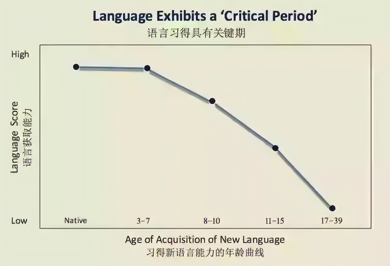 How old is a child's language sensitive period?Live this stage well and ...