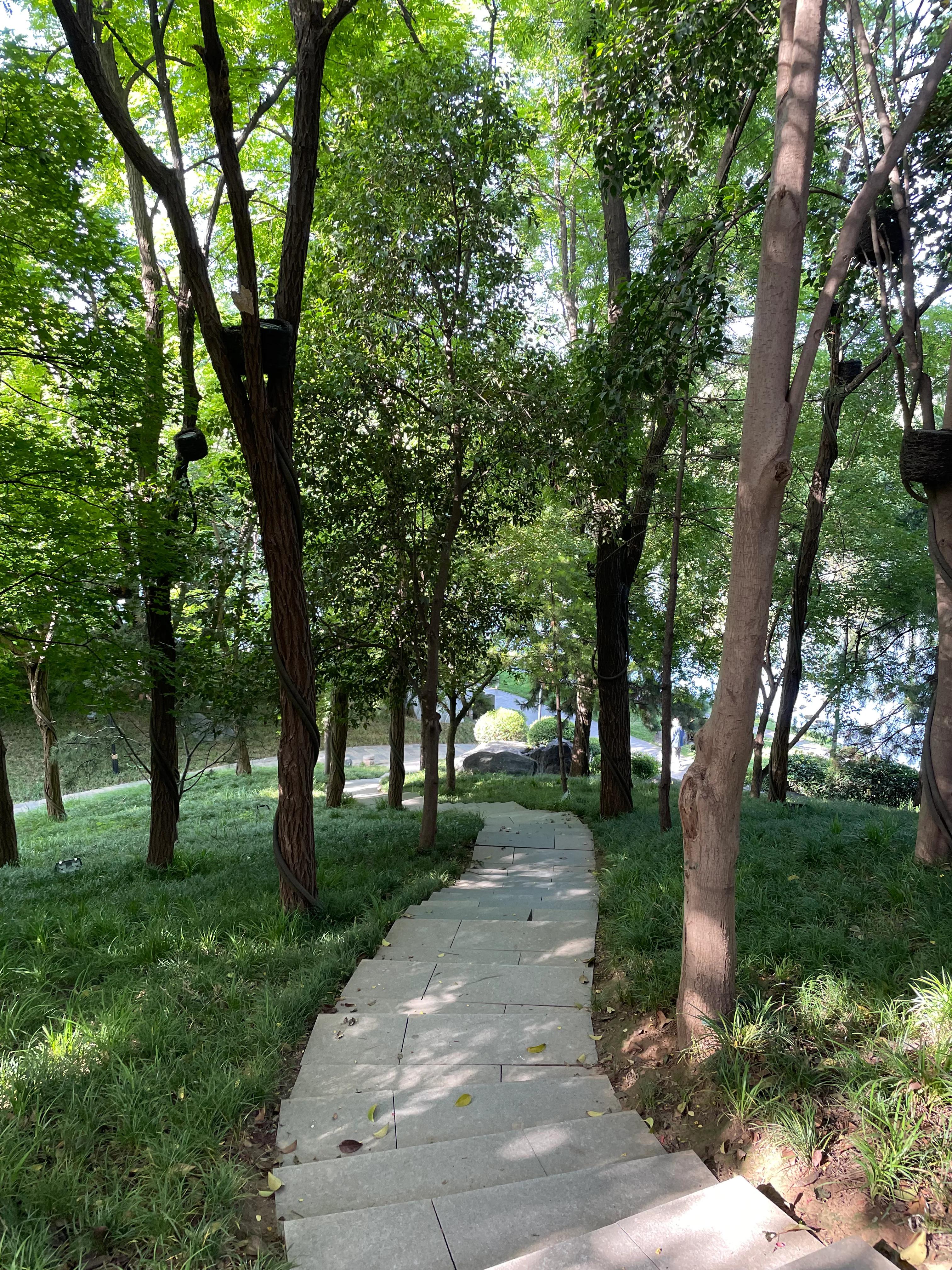 Qujiang Pond Yanbo Island Travel Notes - iNEWS