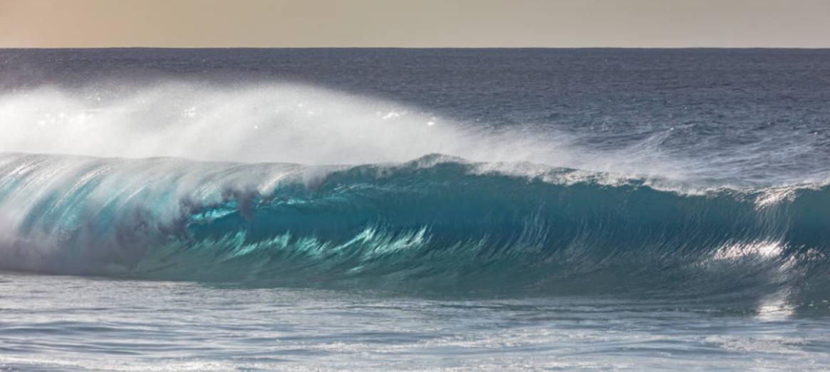 The 1,300-year horror wave: How did the mad dog wave come about? - iNEWS