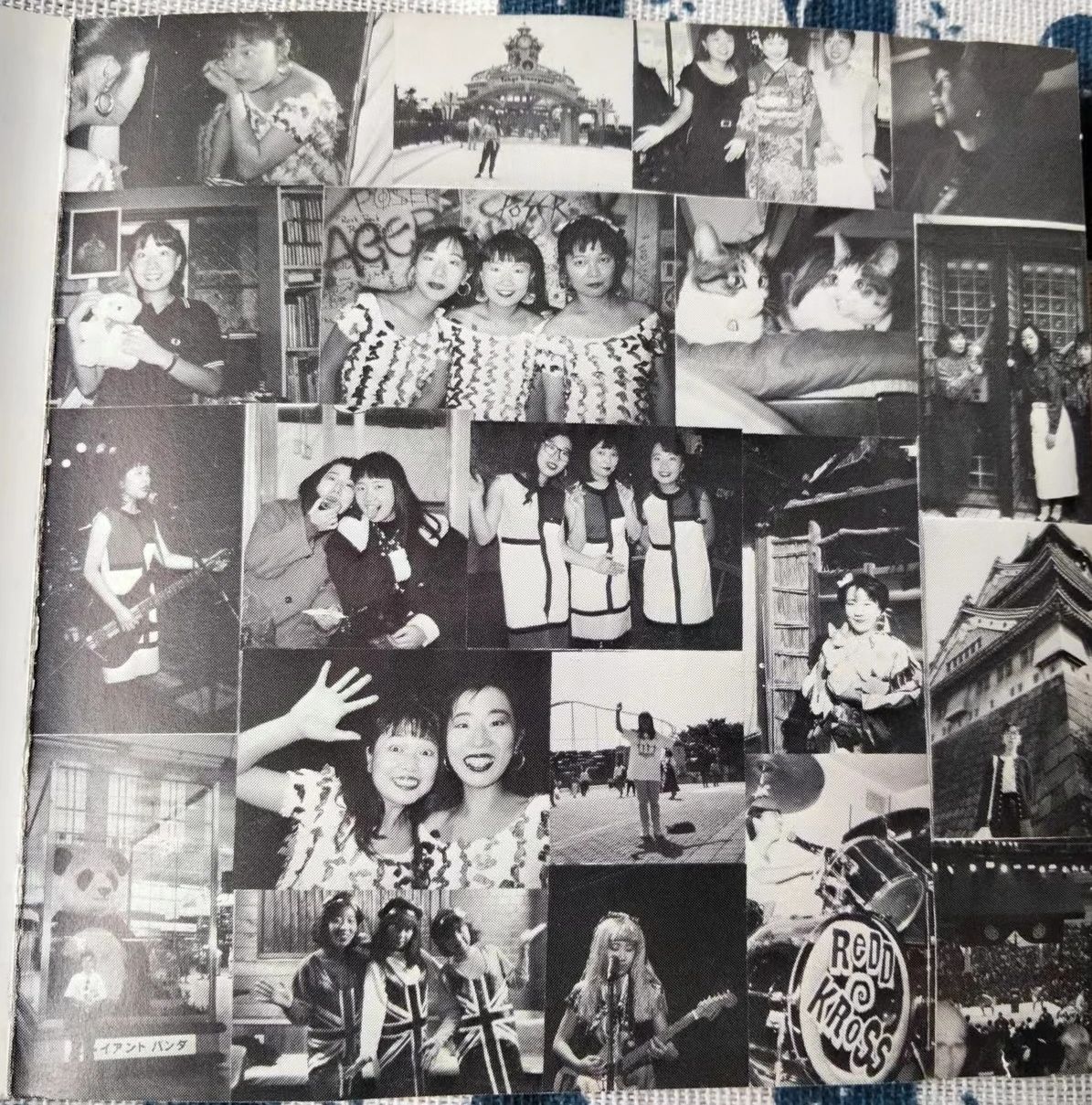 Boy Knife Album "PRETTY LITTLE BAKA GUY" (cute little idiot) - iMedia