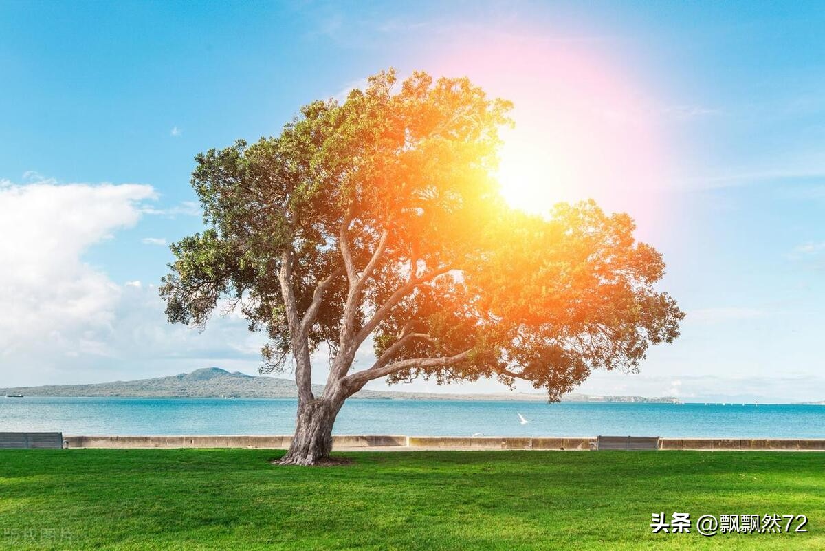What summer looks like in your mind - iMedia
