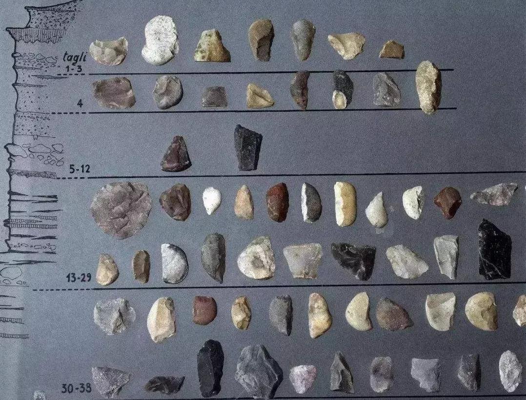 Paleolithic Archaeology (1) - iNEWS