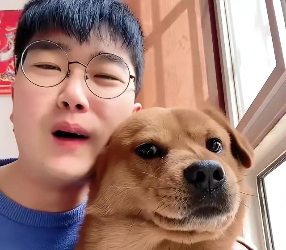 Is the Internet celebrity dog Xiaopang unfortunate, or is there another ...