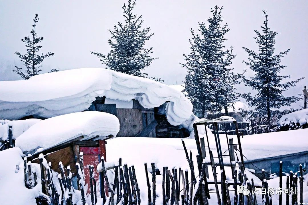 Winter Solstice (two pieces) - iNEWS