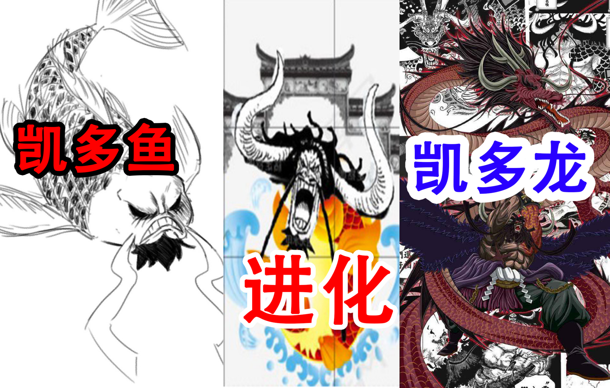 One Piece Chapter 1037: The legendary devil fruit is the fish fruit ...