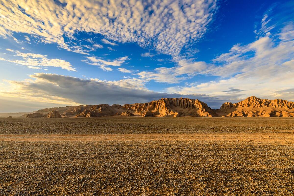 Ma Hongkui 3.24 - iNEWS