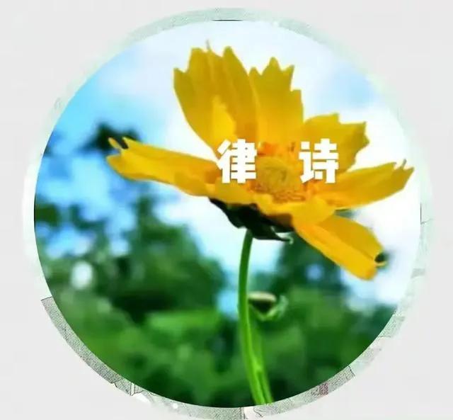 2022 Green Ting Literary Society, Tiantian Poetry Magazine, Issue 270 ...