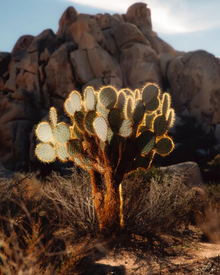 Photographer Peter Fisher - iNEWS