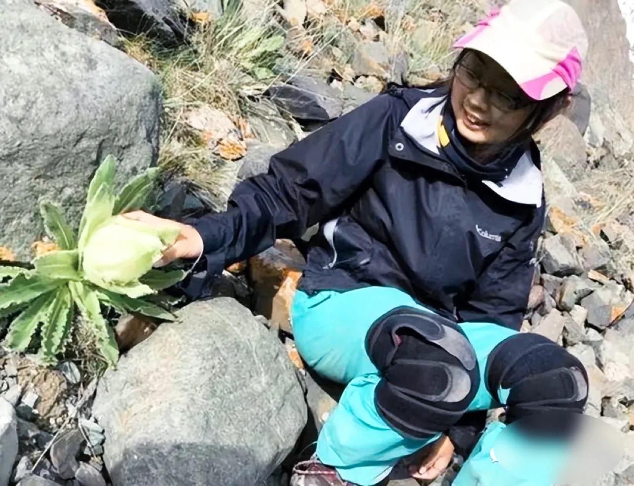 The 27-year-old female poet died climbing a mountain. Why did she go to ...