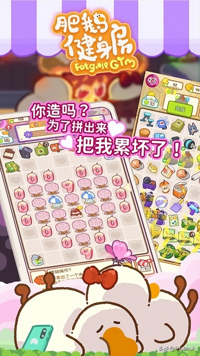 The latest version of Fat Goose Gym - iNEWS