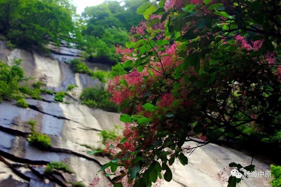 On the top of the Central Plains, Lingbao Han Mountain hides a ...