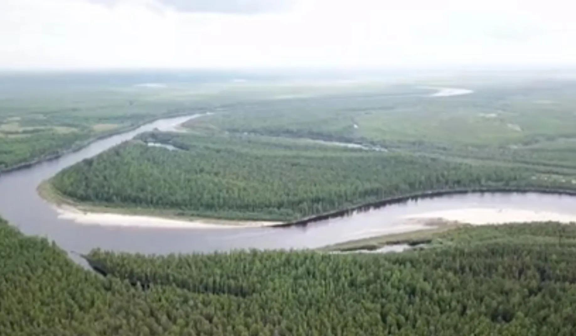 Komi Primeval Forest - the largest primeval forest in Europe - iNEWS