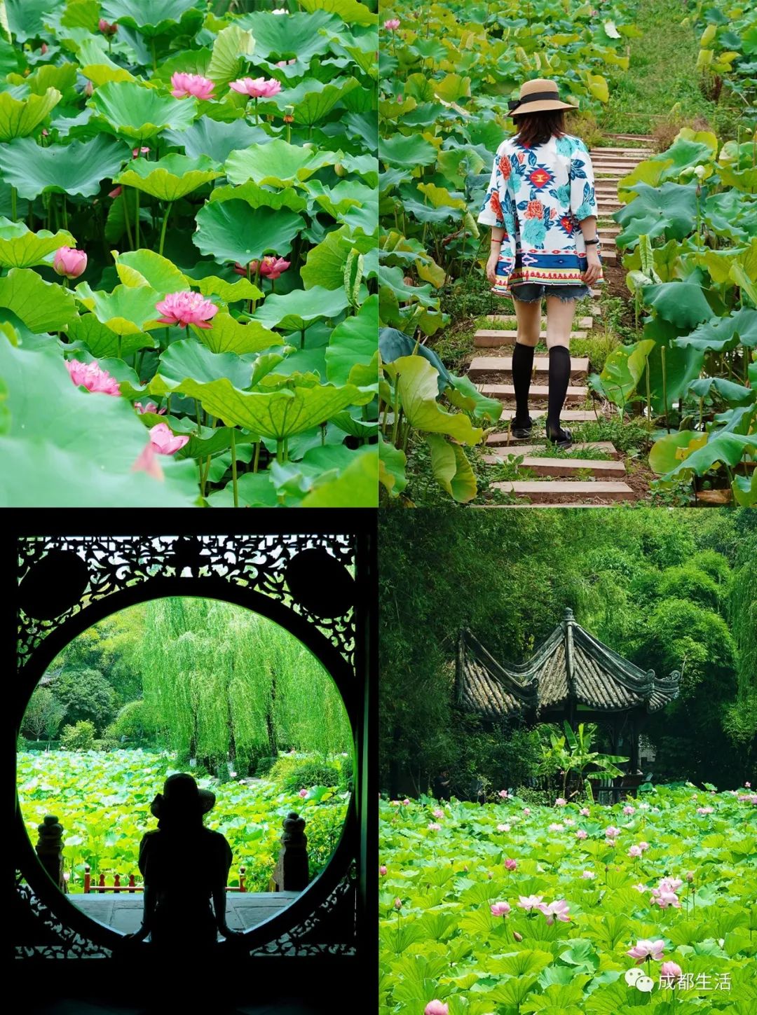 In Chengdu, it was the first time I was crying by the beauty of the ...