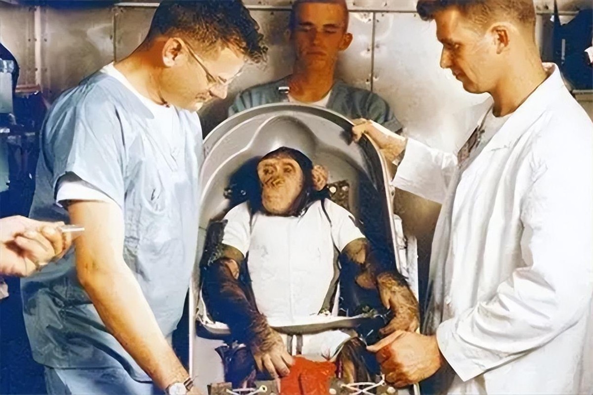 Terrible "human-ape hybrid" experiment: 5 young girls combined with ...