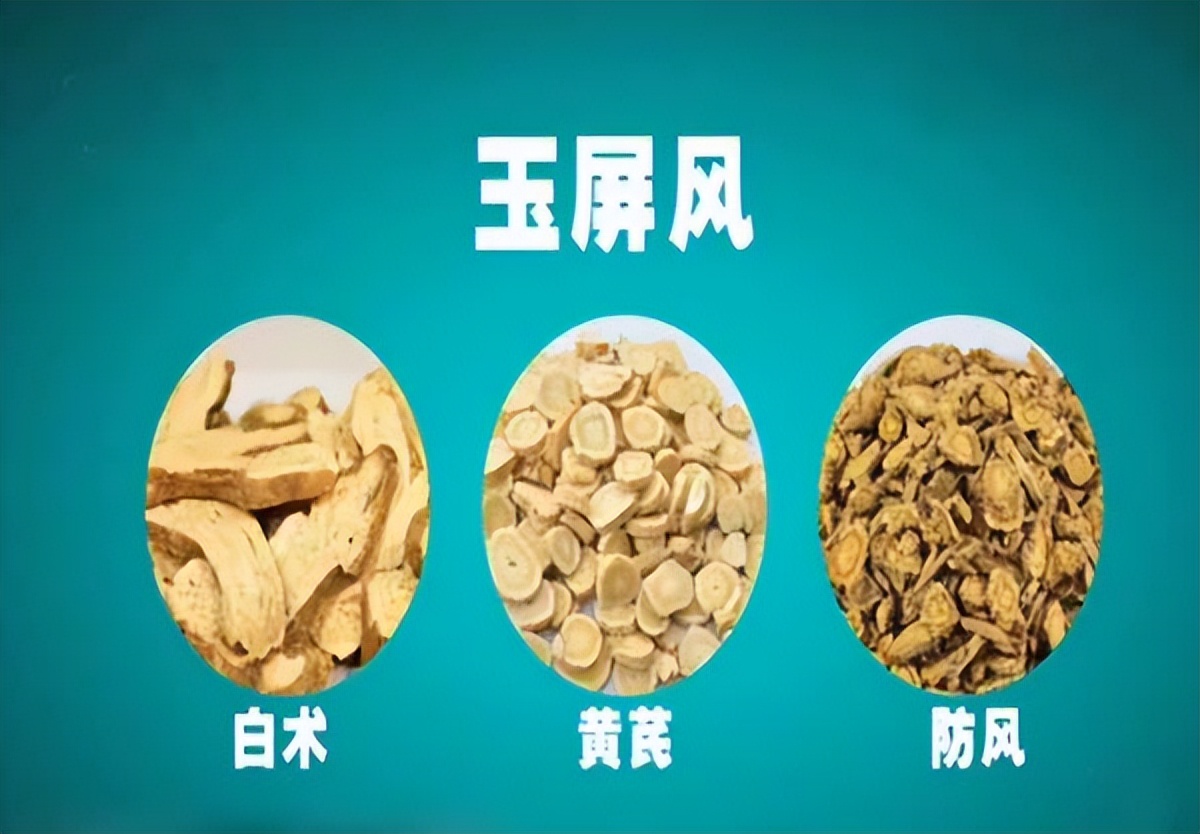 Traditional Chinese Medicine Tonic - Qi Tonic (Yupingfeng Powder) - iNEWS