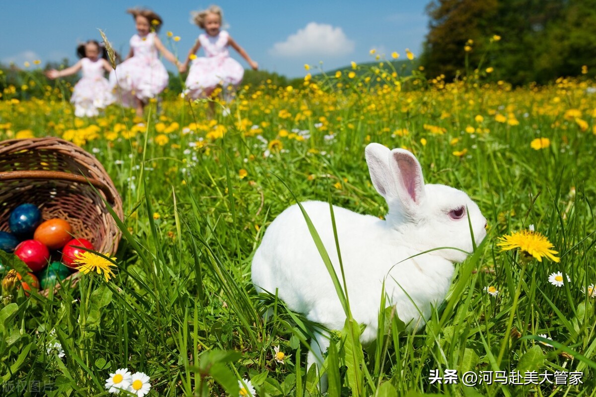 How do Americans celebrate Easter? come see - iMedia