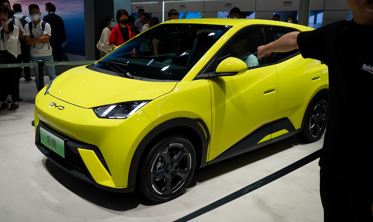 Seagull too expensive? None of the opponents can fight, just place an ...