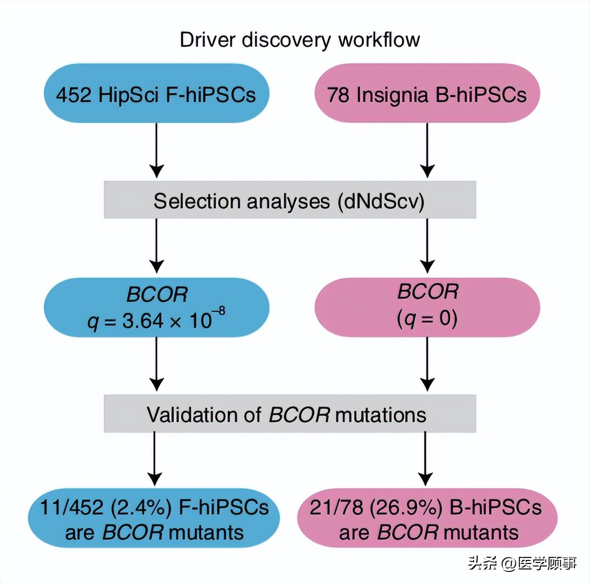 "Nature Genetics": 72% of human induced pluripotent stem cells have ...