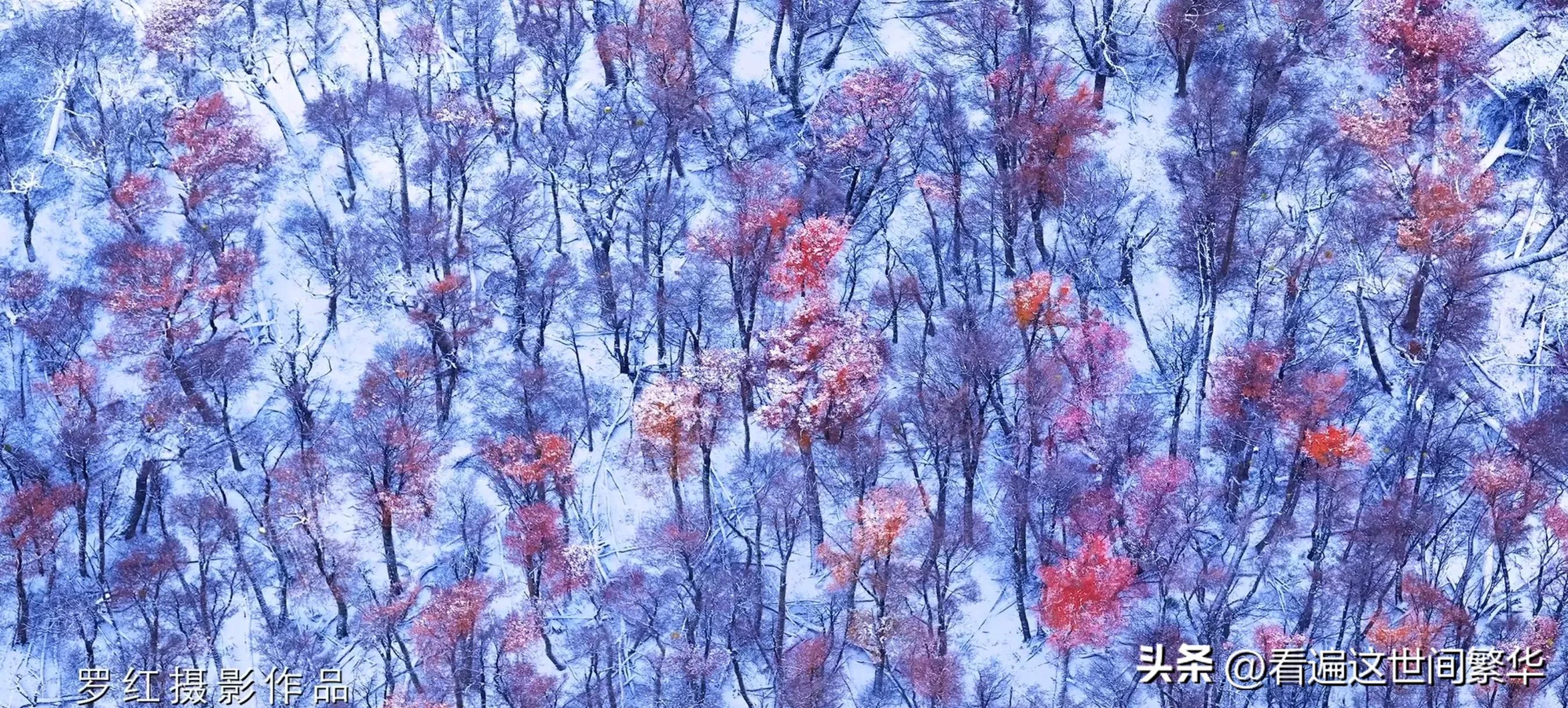 Appreciation of Teacher Luo Hong's landscape photography works - I ...