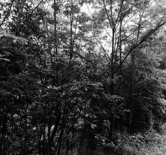 Lü Buwei, whom Qin Shihuang called his father, was exiled to Shiyan, a ...