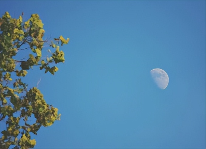 Lao Tzu's three kinds of wisdom, understand one, wake up half a ...