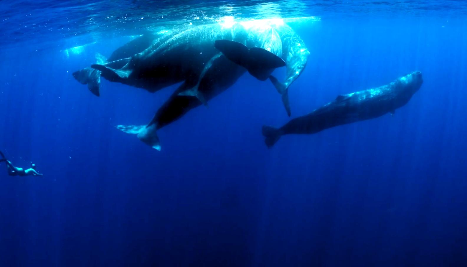 Climbing the volcano, looking for secret sounds, this new play by Will ...