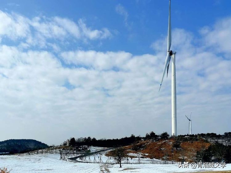 "Meng Dong's Poems" 10 Poems Recited by Poet Friends - iNEWS