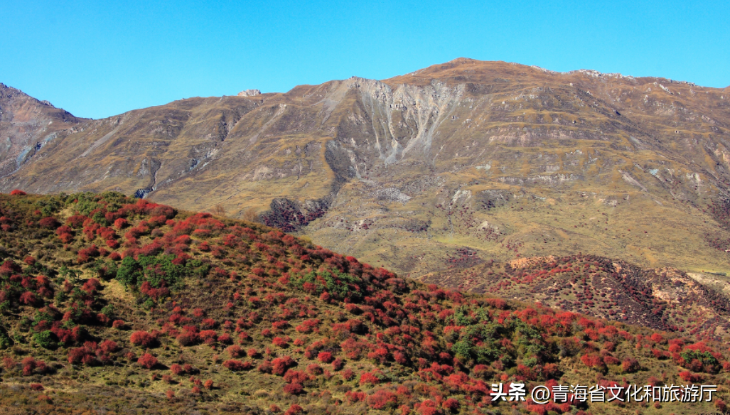 The autumn scenery is picturesque and the autumn colors are sultry ...