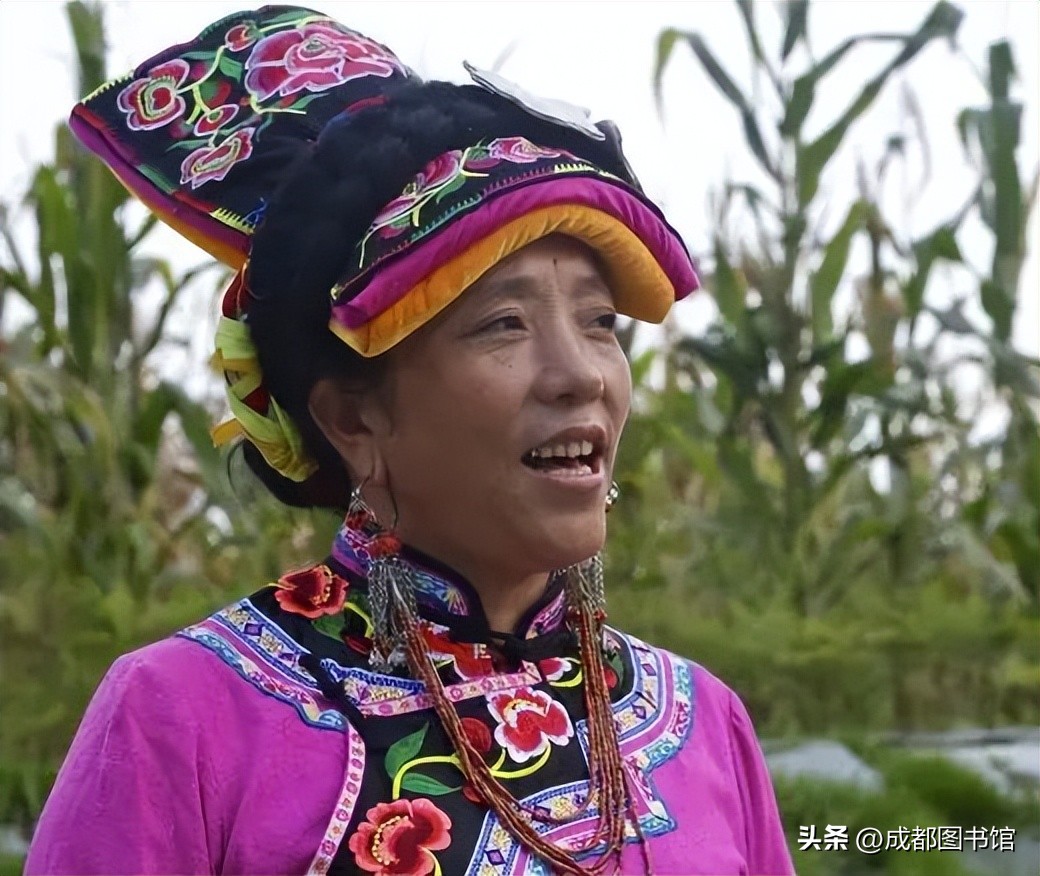 The traditional music of the Qiang, Pumi and Lisu nationalities under ...