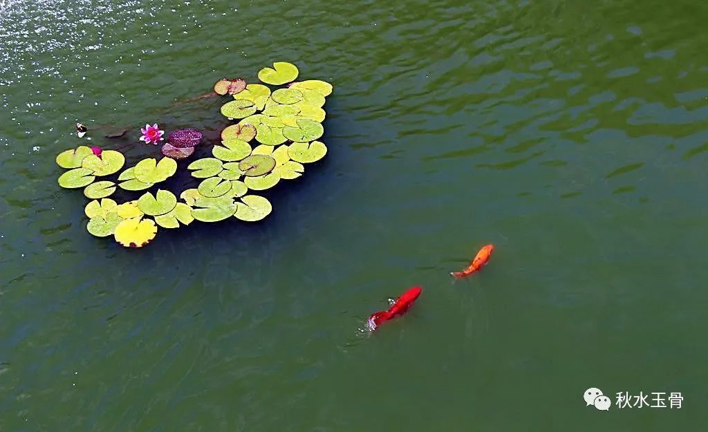 The year-end affectionate and profound summary of female teacher writer ...