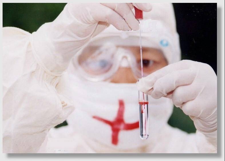 What should a girl's normal private parts look like? How to tell if it ...