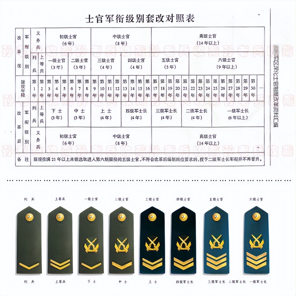 After the reform of the non-commissioned officer rank system, the ...