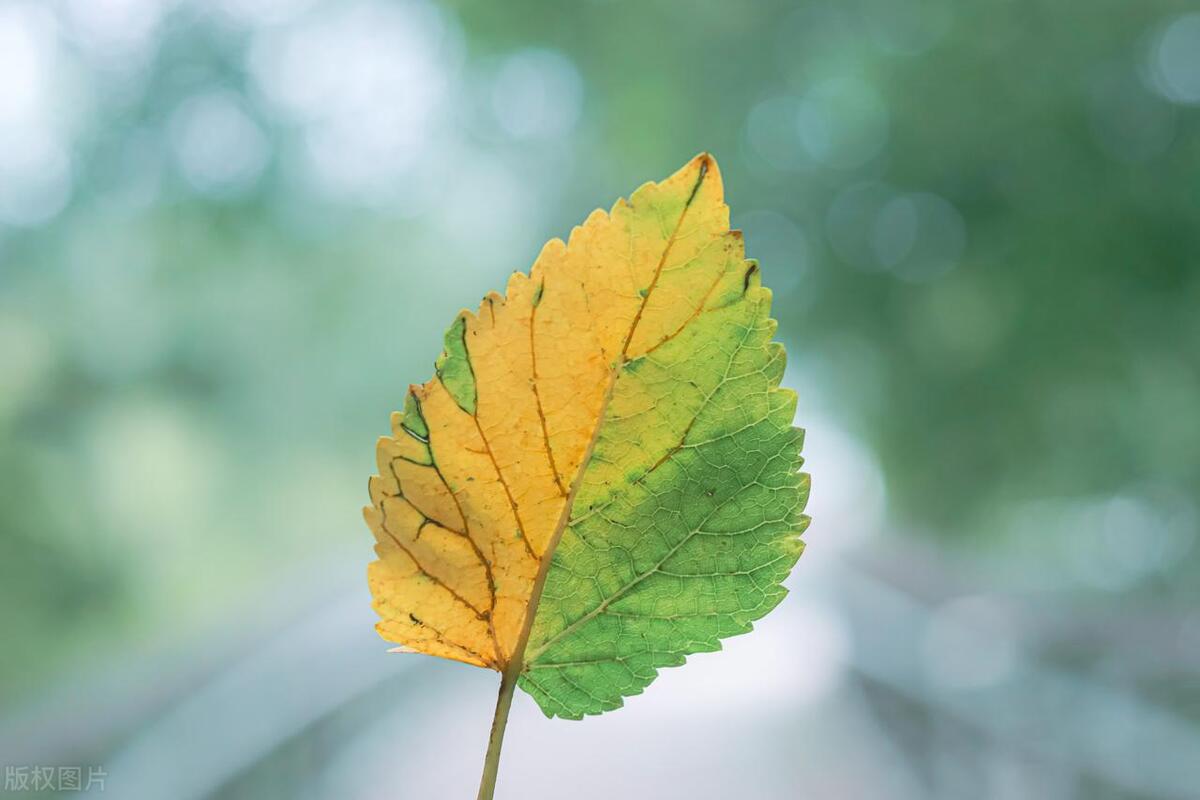 "Everything is harvested in autumn in July, and everything is lost in ...