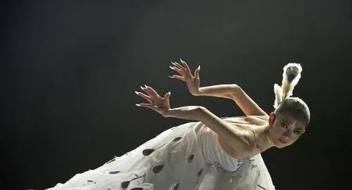 Yang Liping and Peacock Dance - iNEWS