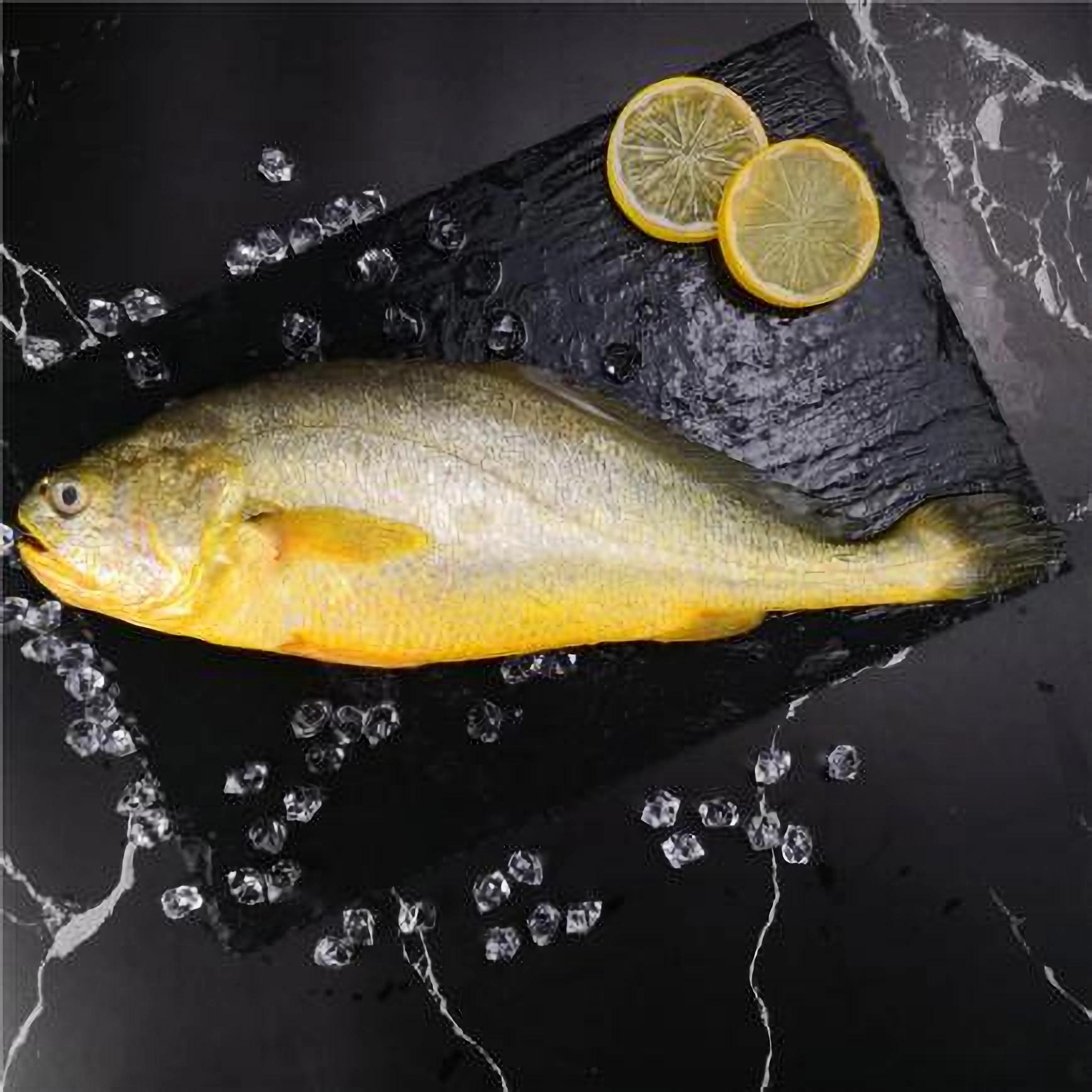 Put an end to rumors! Freshly killed fish is the best? most people get ...