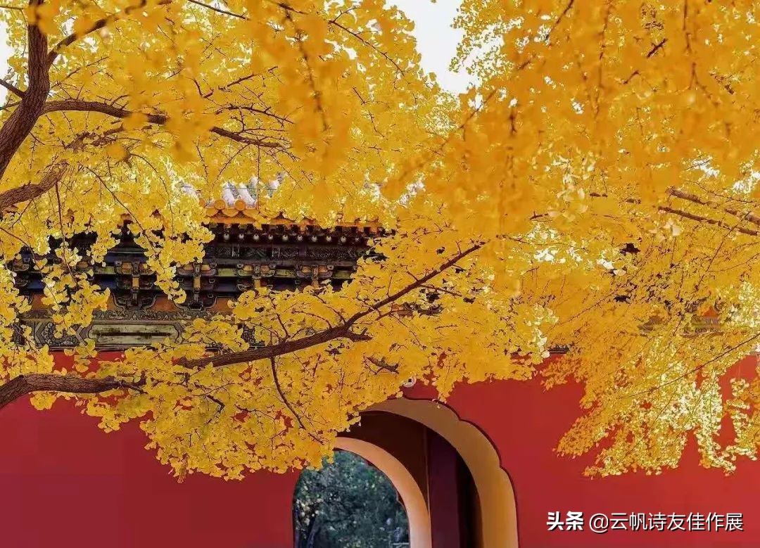 "Powerful Poet" Yan Hong's Poems - iNEWS