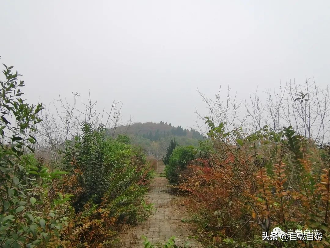 Visiting the sacred capital and telling the story of Luoyang (57 ...