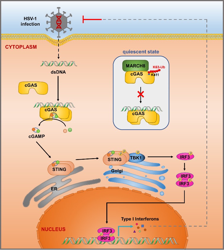 Tsinghua University Yin Hang research group in the field of post ...