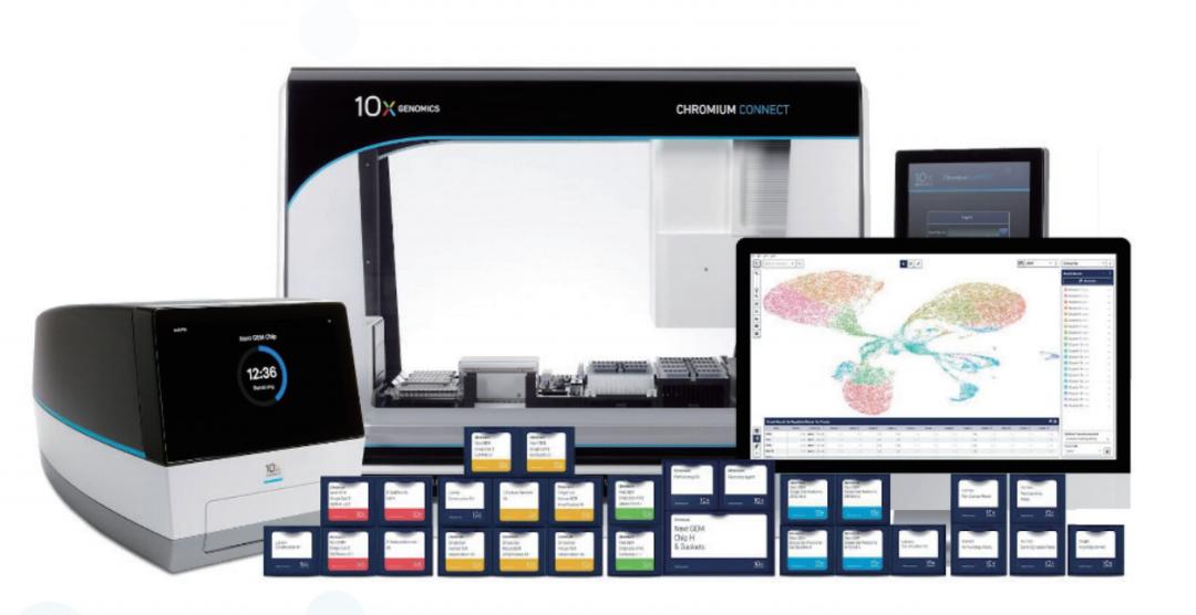 What efforts do domestic single-cell platforms need to make to catch up ...