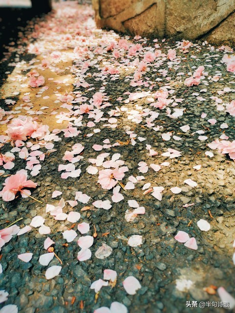 Star Attraction Dafa is not just a martial art - iMedia