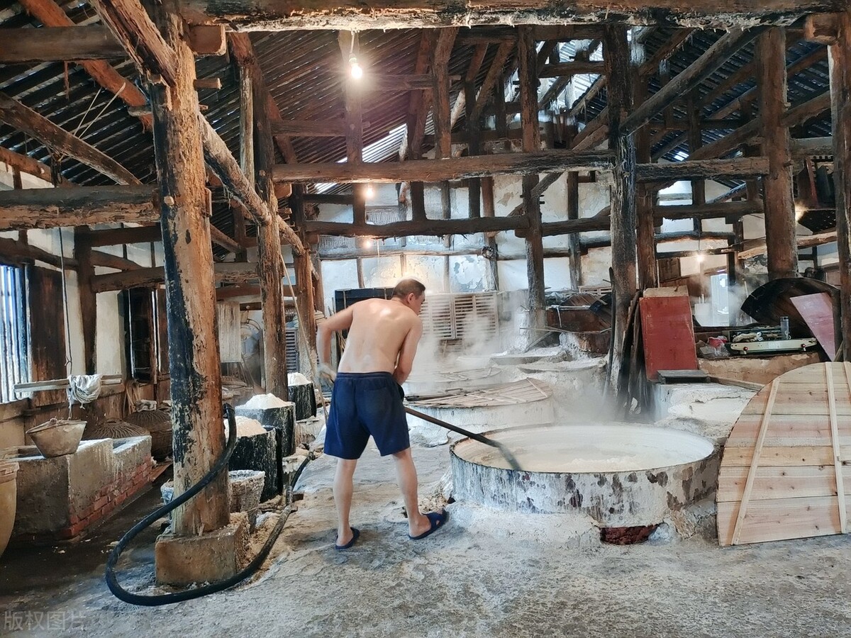 The Historical Mystery of Salt: Why Can't Humans Live Without It? Why ...